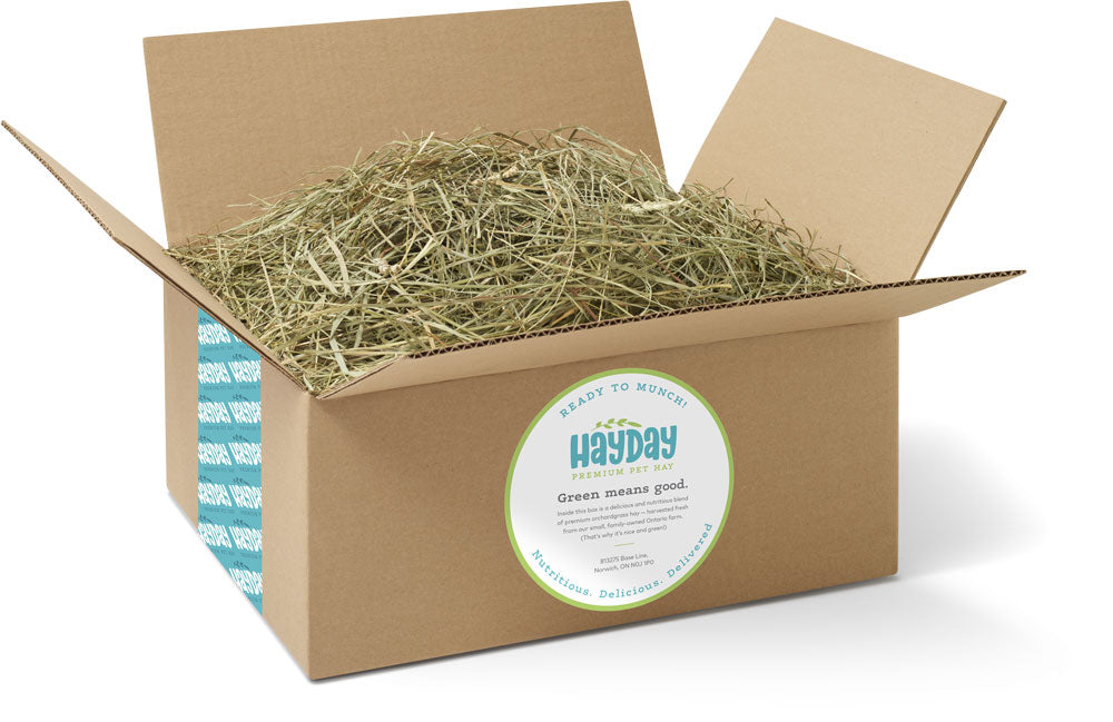Green means good! – Hayday Pet Hay